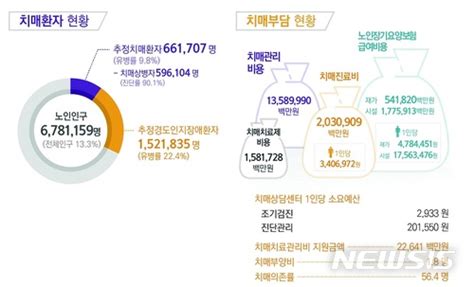 국내 노인치매환자 66만명 10명당 1명…관리비 1인당 2천만원 공감언론 뉴시스통신사