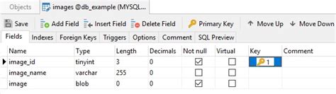 storing images in mysql with navicat