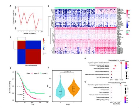 M1 Related Molecular Typing A Consensus Map Of Nmf Clustering B