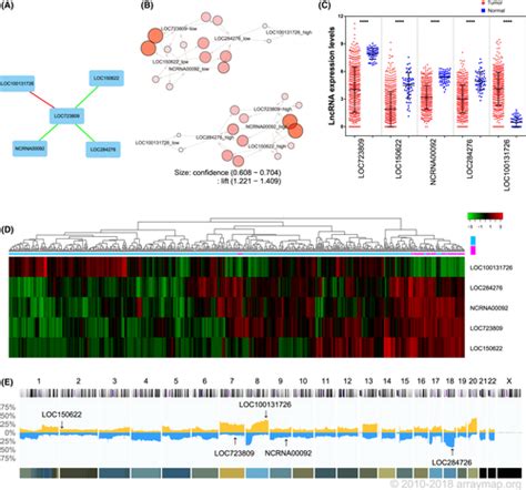 A Group Of Long Noncoding Rnas Identified By Data Mining Can Predict