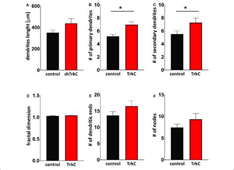 Quantitative Analysis Of Measures Describing Morphology Of Dendrites