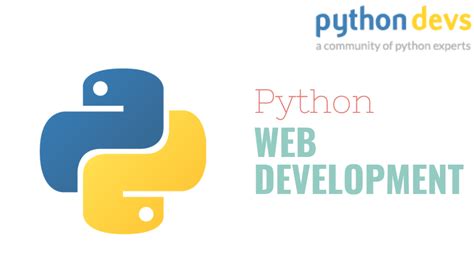 [infograhic] 5 reasons why python should be your top