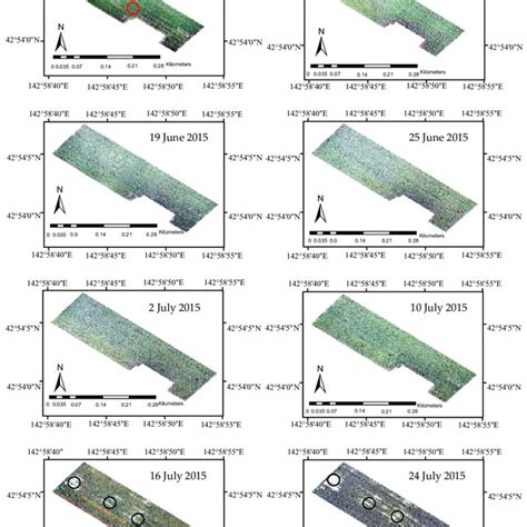 Pdf Monitoring Of Wheat Growth Status And Mapping Of Wheat Yields