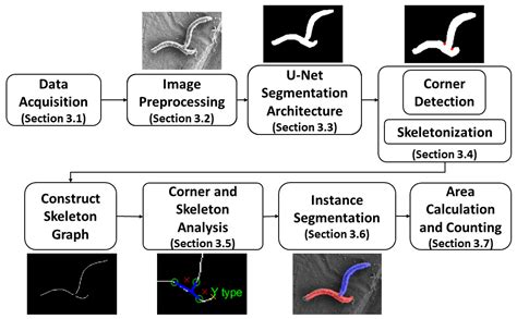 Make Free Full Text A Morphological Post Processing Approach For