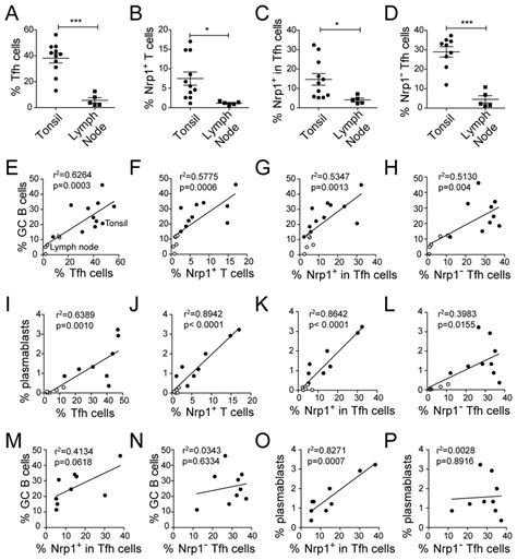 Correlation Between Nrp1 Expression And Germinal Center Activity In