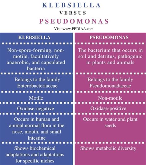 What Is The Difference Between Klebsiella And Pseudomonas Pediaa Com