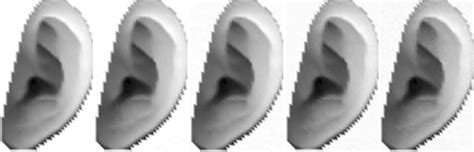 Corresponding Keypoint Constrained Sparse Representation Three