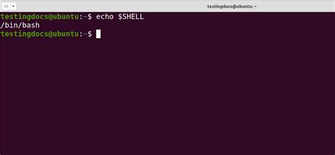 echo linux command