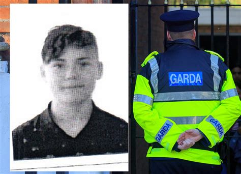 Gardaí Appeal For Help In Finding Missing 13 Year Old Jamie Walsh