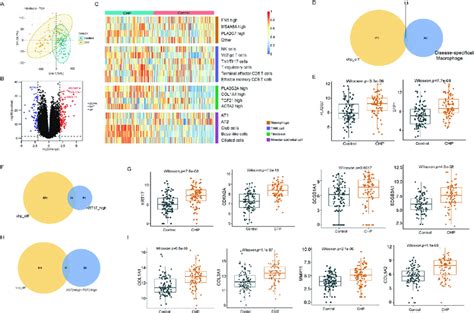 Integrated Analysis In Scrna Seq And Bulk Rna Seq Data A 2 Dimensional