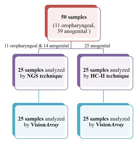 Different Methods In Hpv Genotyping Of Anogenital And Oropharyngeal