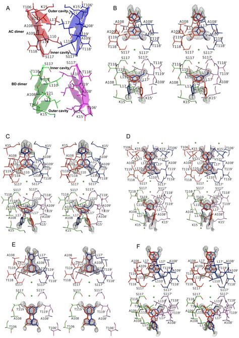 Crystal Structures Of Ttr Ligand Complexes Two T4 Thyroxine Binding