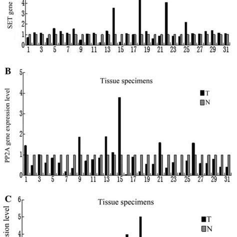 Quantitative Real Time Polymerase Chain Reaction Analysis Of A Set