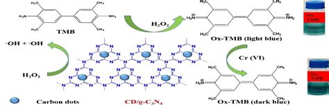 Carbon Dots‐decorated G‐c3n4 As Peroxidase Nanozyme For Colorimetric