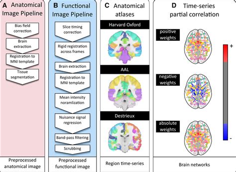 Brain Connectivity Measures Improve Modeling Of Functional Outcome