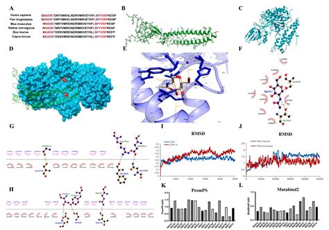 Redox Biology：四川大学的研究者们揭示了一种重要的铁死亡调节蛋白oglcn酰化 生物科技 健康一线资讯