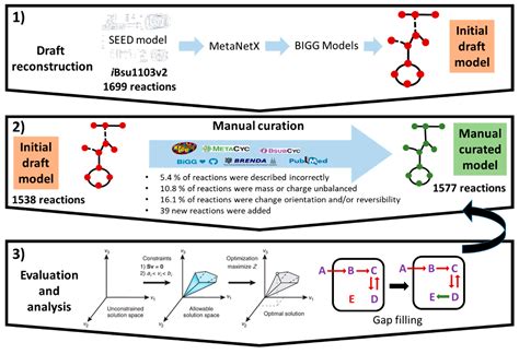 Ijms Free Full Text New Insights On Metabolic Features Of Bacillus