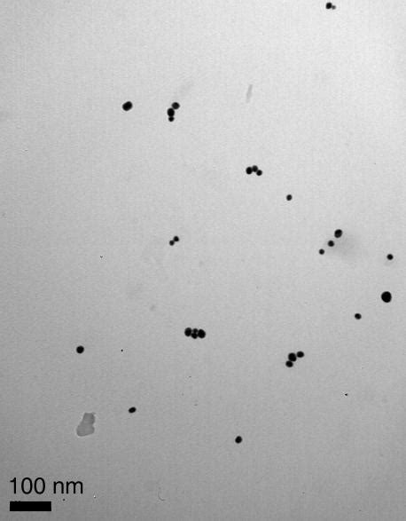 Figure S1 Tem Image Of Aunps Prepared For Streptavidin Coating Left