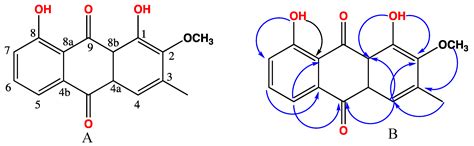 Molecules Free Full Text Bioassay Guided Isolation And Docking