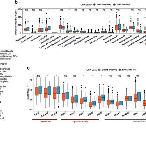 Epha5 Mutation Is Associated With Tumor Immunogenicity And
