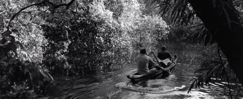25 Best Latin American Films Of The Decade 2010s