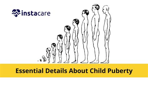 Stages Of Puberty In Girls Chart