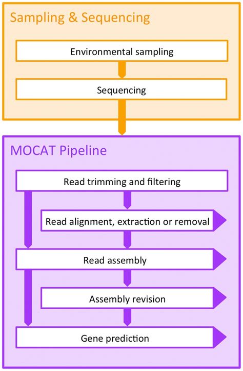 Metagenomic Samples Are Collected And Sequenced The Raw Sequence Reads