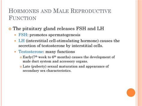 The Reproductive System Ppt Download