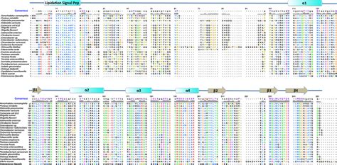 multiple sequence alignment of lpob from representative download