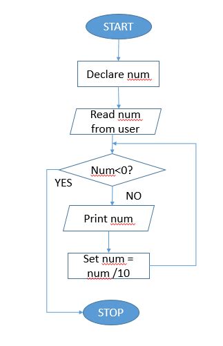 write a c for loop flow chart and choose a number and decrease from