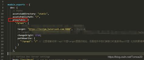vue3设置proxy代理解决跨域问题 张生荣
