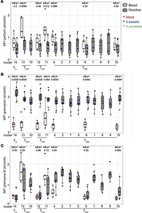 Jci Insight Antigen Specific Decidual Cd8 T Cells Include Distinct