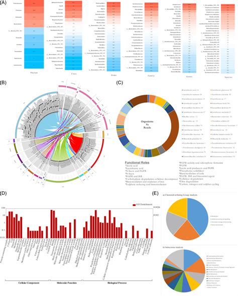 Taxonomic And Functional Metagenomes In The Panchagavya Bioformulation