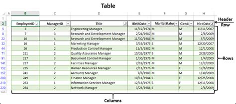 format data for statistical analysis in excel lawyerpassl