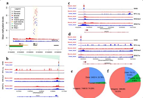 Proximal Pre1 As A Cis Regulatory Element A Differentially Methylated