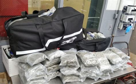 Canadian Man 77 Tries To Smuggle Over 100 Lbs Of Pot Into Us