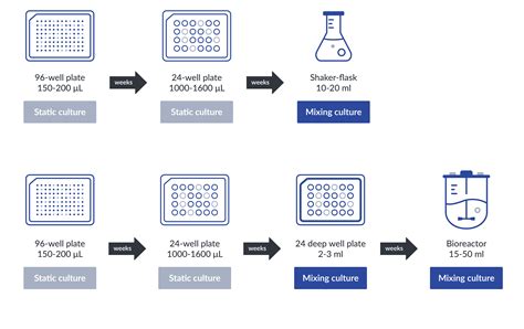 cell line development cytena bps taiwan 生德奈生物科技