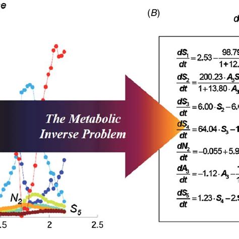 Concept And Flow Chart For Automated Model Inference A Noisy Time