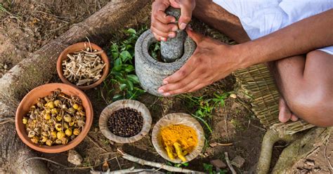 7 Health Benefits Of Ayurvedic Herbs And Spices Goodnet