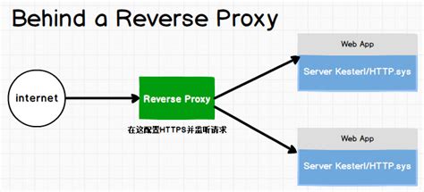 publish asp core 2 x application to ubuntu