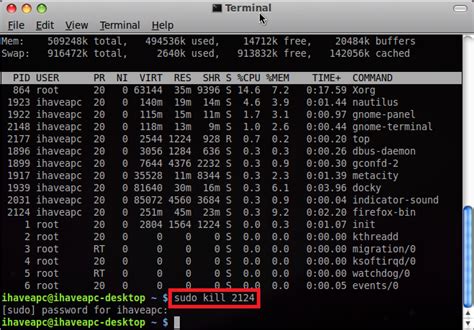 how to kill hung process program in linux i have a pc