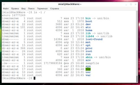 linux directory structure important linux files ethical hacking and