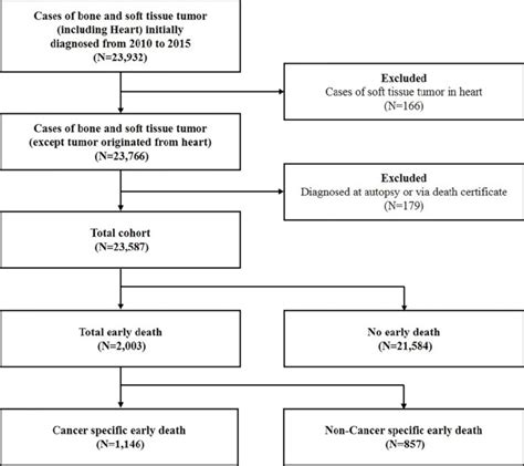 Flow Chart For Patient Selection With Bone And Soft Tissue Tumor