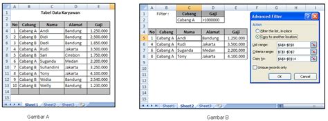 cara filter data dan menampilkannya pada sheet lain dengan fitur