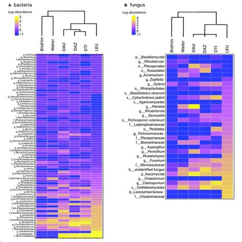 Heat Maps Of Log 10 Abundance Of Bd Inhibitory Bacterial A And