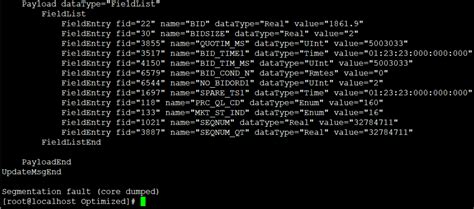 rto ema c consumer destructor segmentation fault core dumped