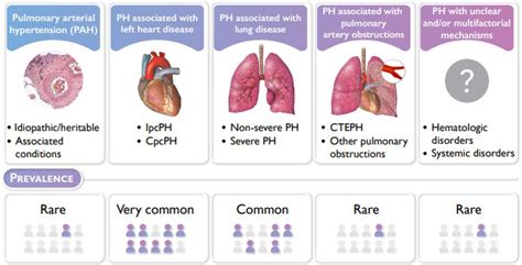 Medvasc Hypertension Pulmonaire
