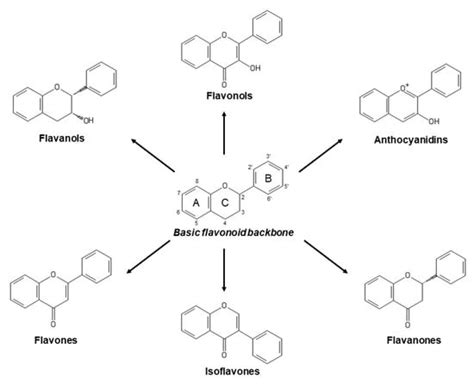 Plant Phenolics Encyclopedia Mdpi