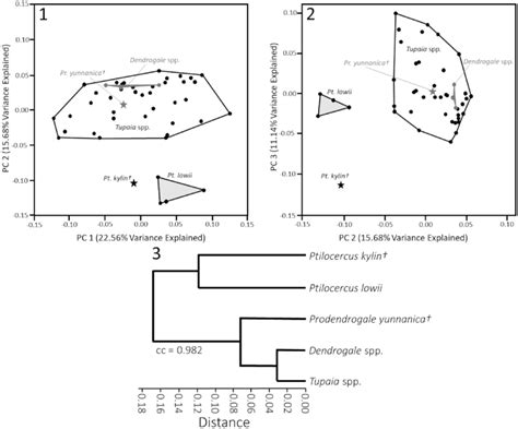 1 Bivariate Plot Of Principal Components 1 And 2 And 2 Bivariate