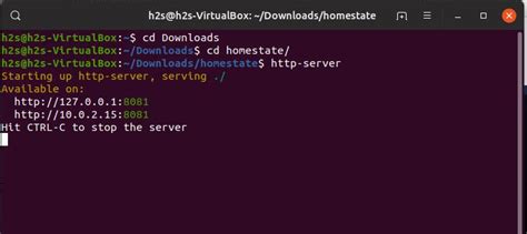 how to install and use node js server web server via npm